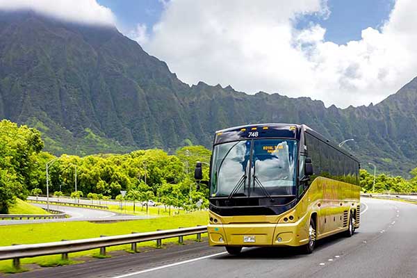 Charter Bus Rental on Oahu - Royal Star Hawaii